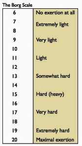 Exercise Science and Fitness Training: Basic Cardiovascular Exercise ...