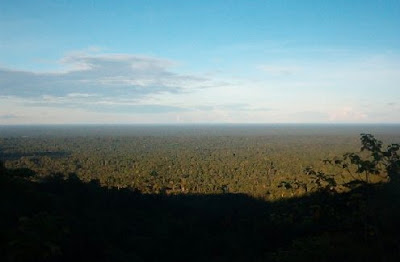 NephiCode: The Little Known Continent -- Amazonia