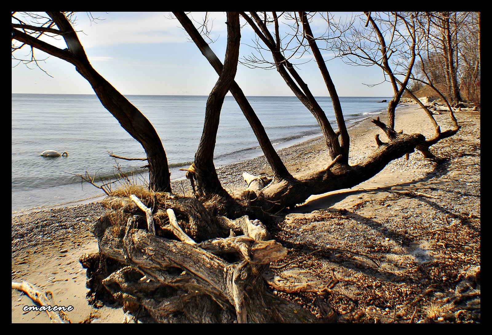 This Randomness: Litratong Pinoy - Tumba (Fallen)