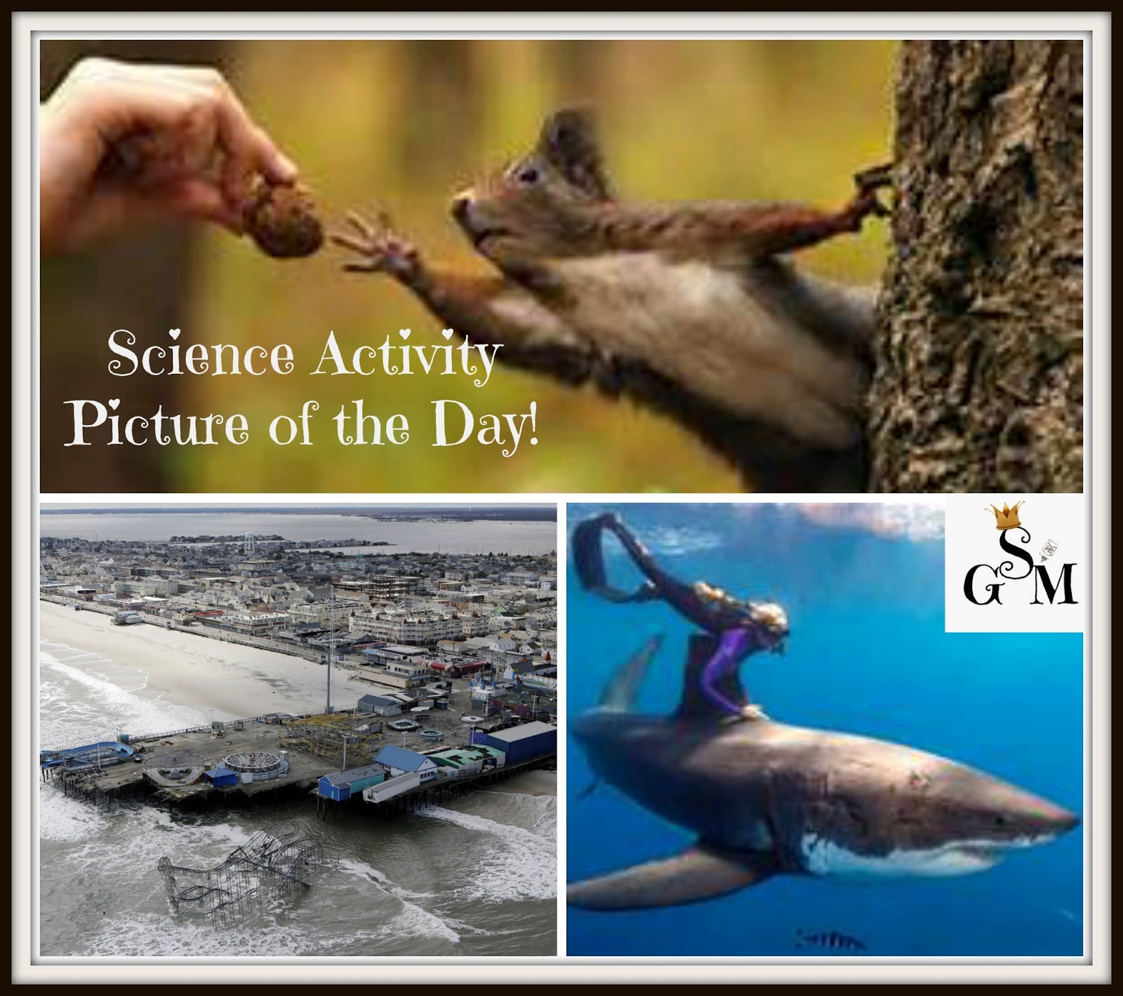 Solagratiamom: Science Activity - Picture of the Day