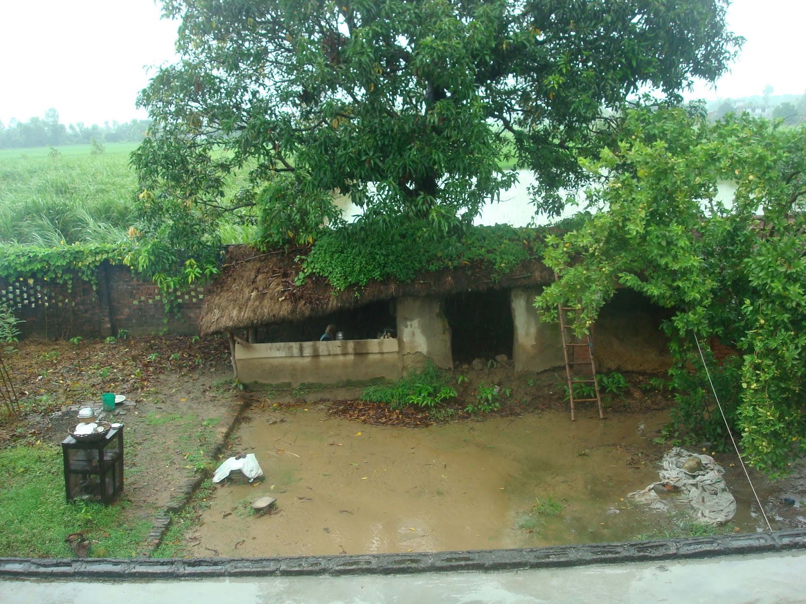 Beautiful India: PILIBHIT , UTTAR PRADESH