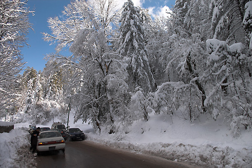 Beautiful Snowfall | Real Snowfall HD Desktop wallpapers | Snowfall in ...