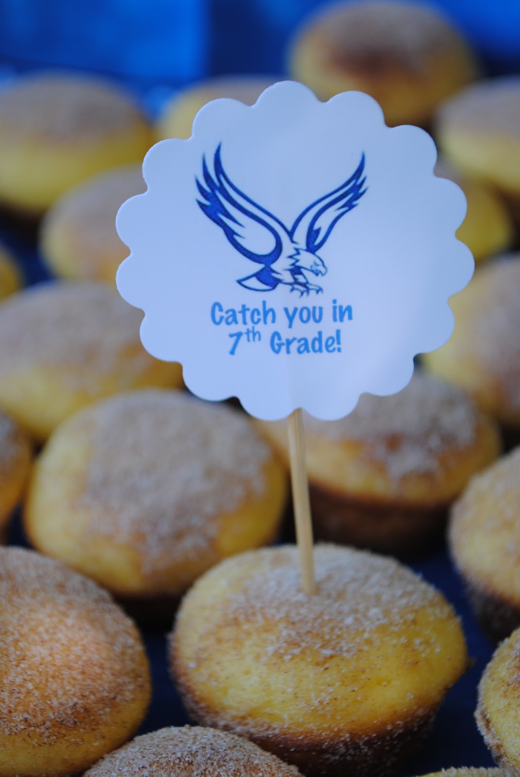 Jac o' lyn Murphy: Mini Muffins for Middle School (White Trash Muffins ...