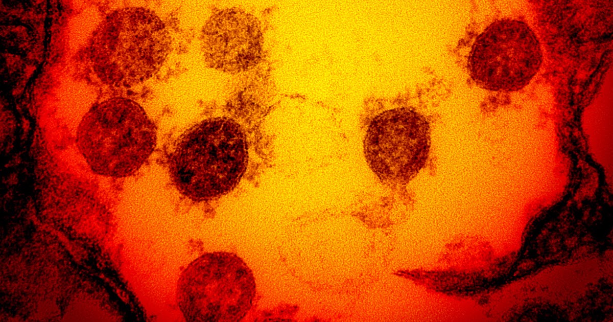 Rosa Rubicondior: Good News From Science - An Effective Protection ...