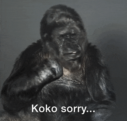 Unprofessional Translation: Was Koko, the 'talking' gorilla, bilingual?