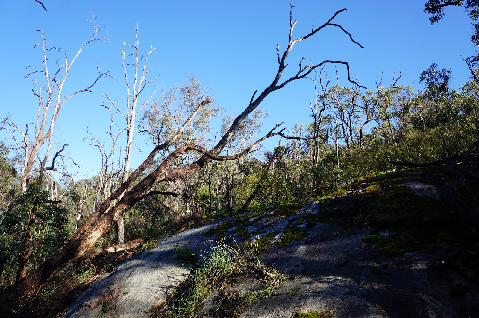 Kitty's Gorge Walk Trail (Serpentine National Park) ~ The Long Way's Better