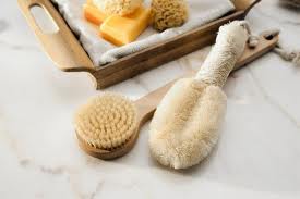 my journey with essential oils and natural healing: body brushing – try ...