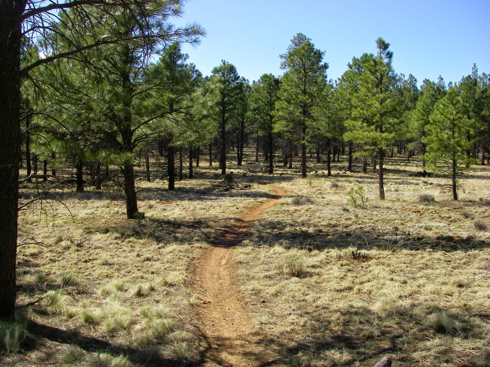 Arizona Trail - Flagstaff to Fisher Point via Mountain Bike