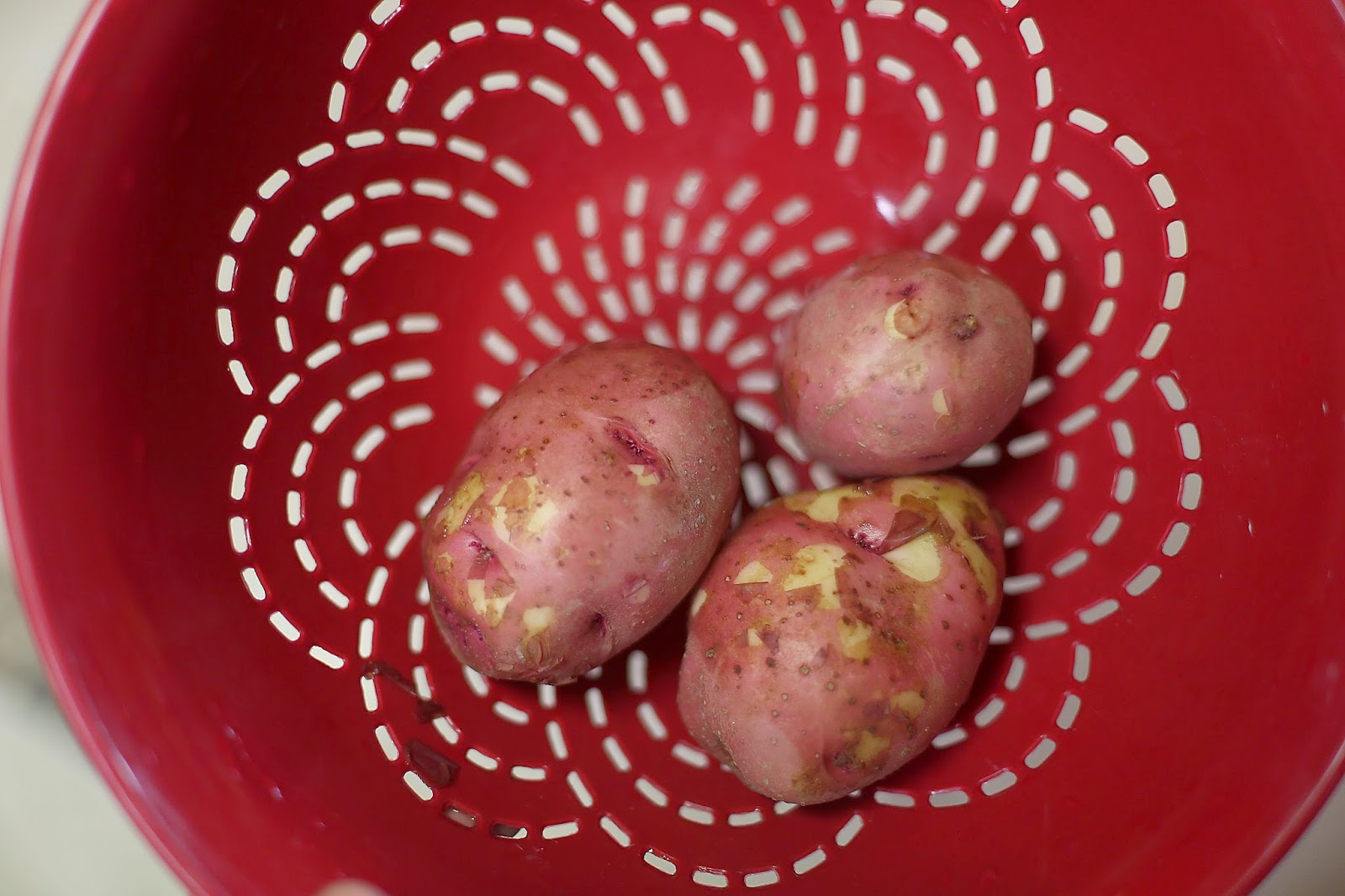 The Hodgepodge Darling: The World's Best Fried Potatoes