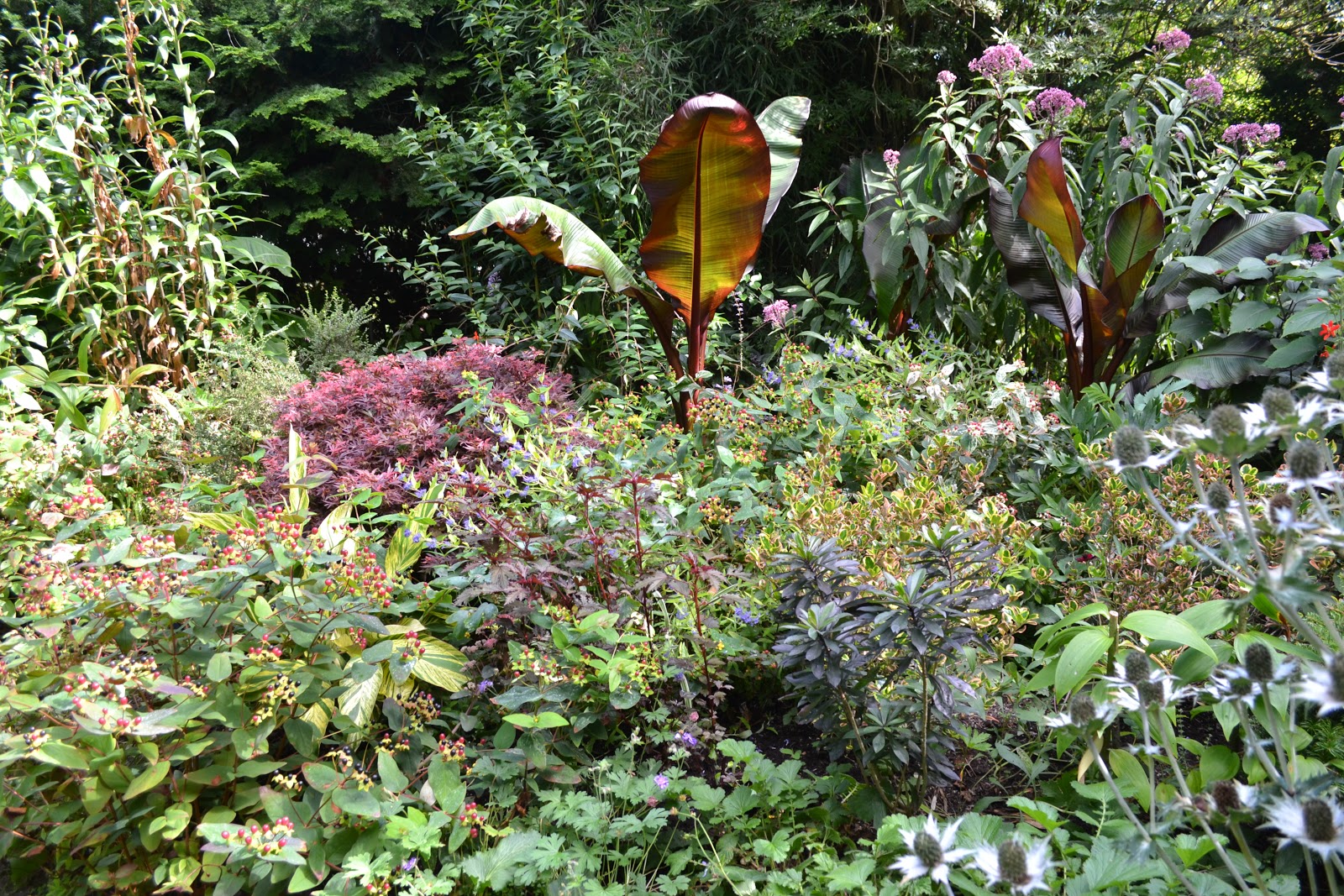 The Outlaw Gardener: Visiting Dragonfly Farms