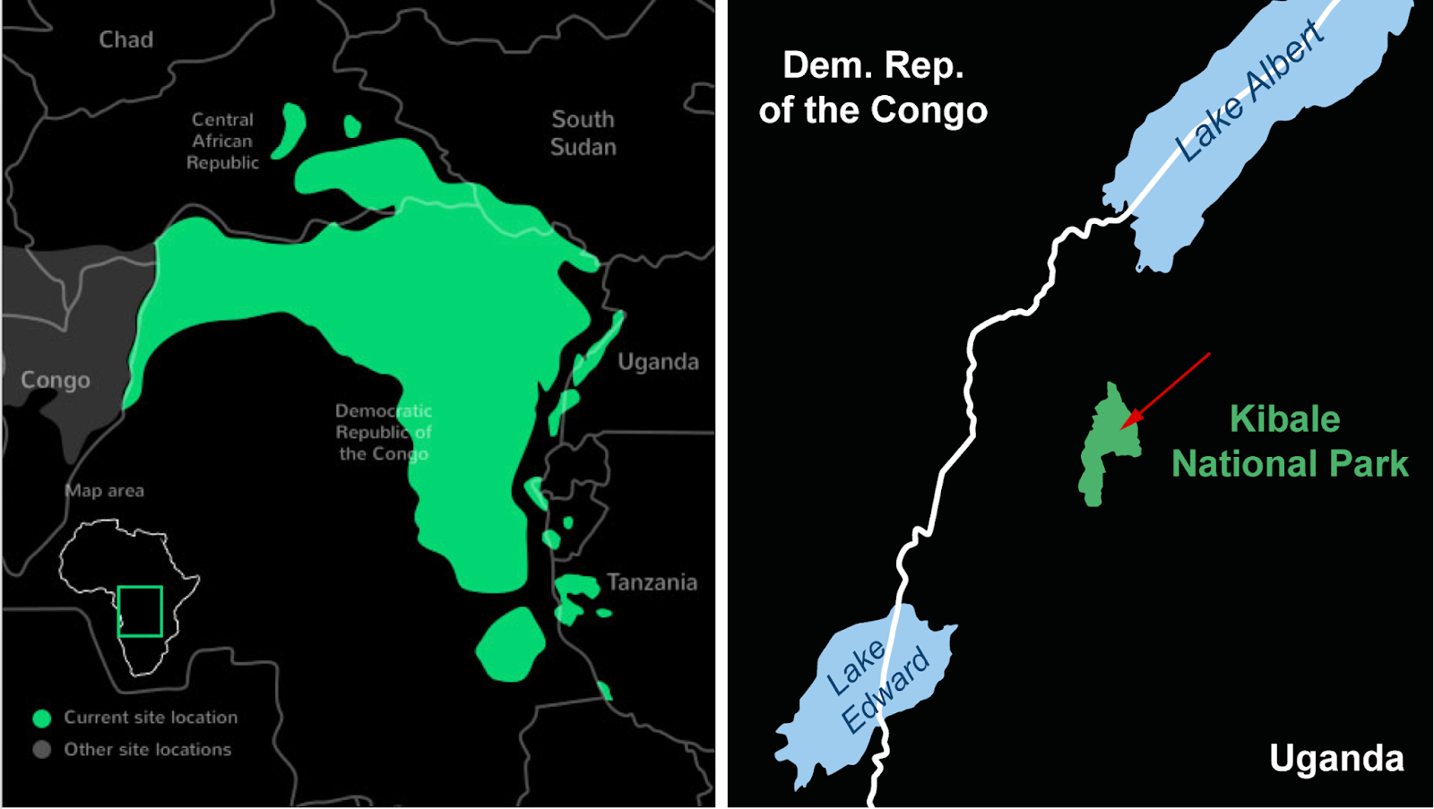 The CHIMP & SEE Blog: Chimp&See’s 3rd anniversary: Meet the neighbors ...