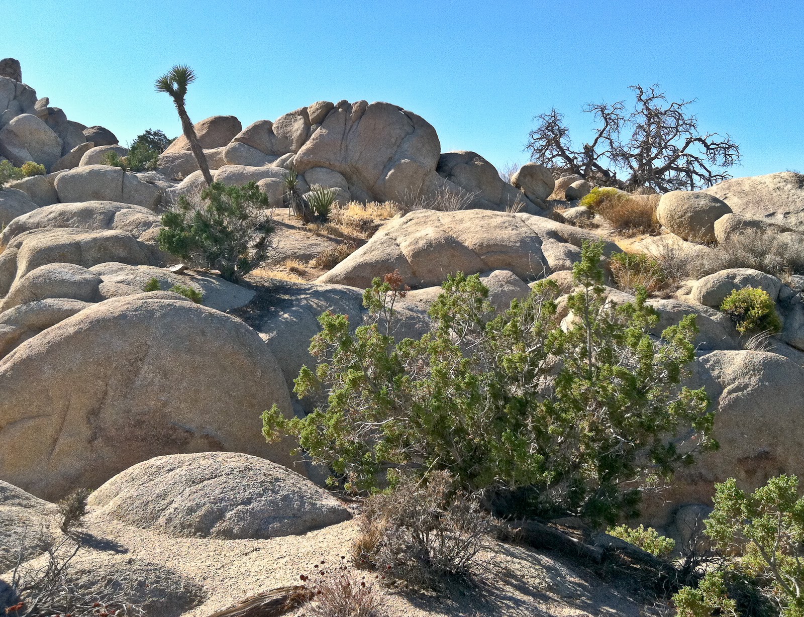 OnTheMove-Road Trips: The Snake Ranch