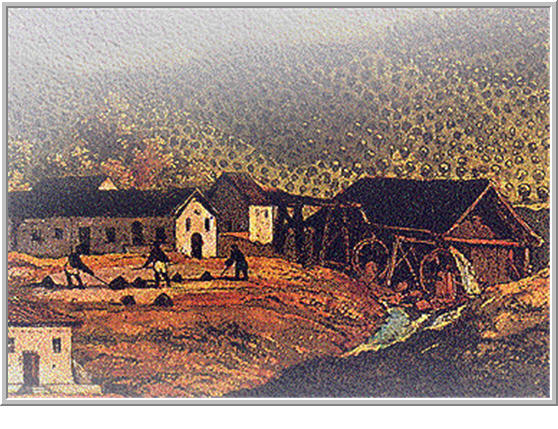 S T R A V A G A N Z A: HISTÓRIA DA CULTURA DO CAFÉ NO BRASIL