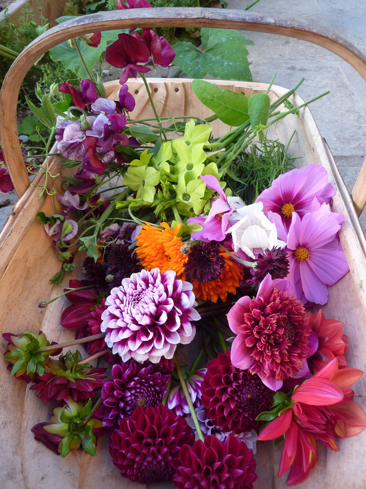 absolutely beautiful things: Flowers & Things