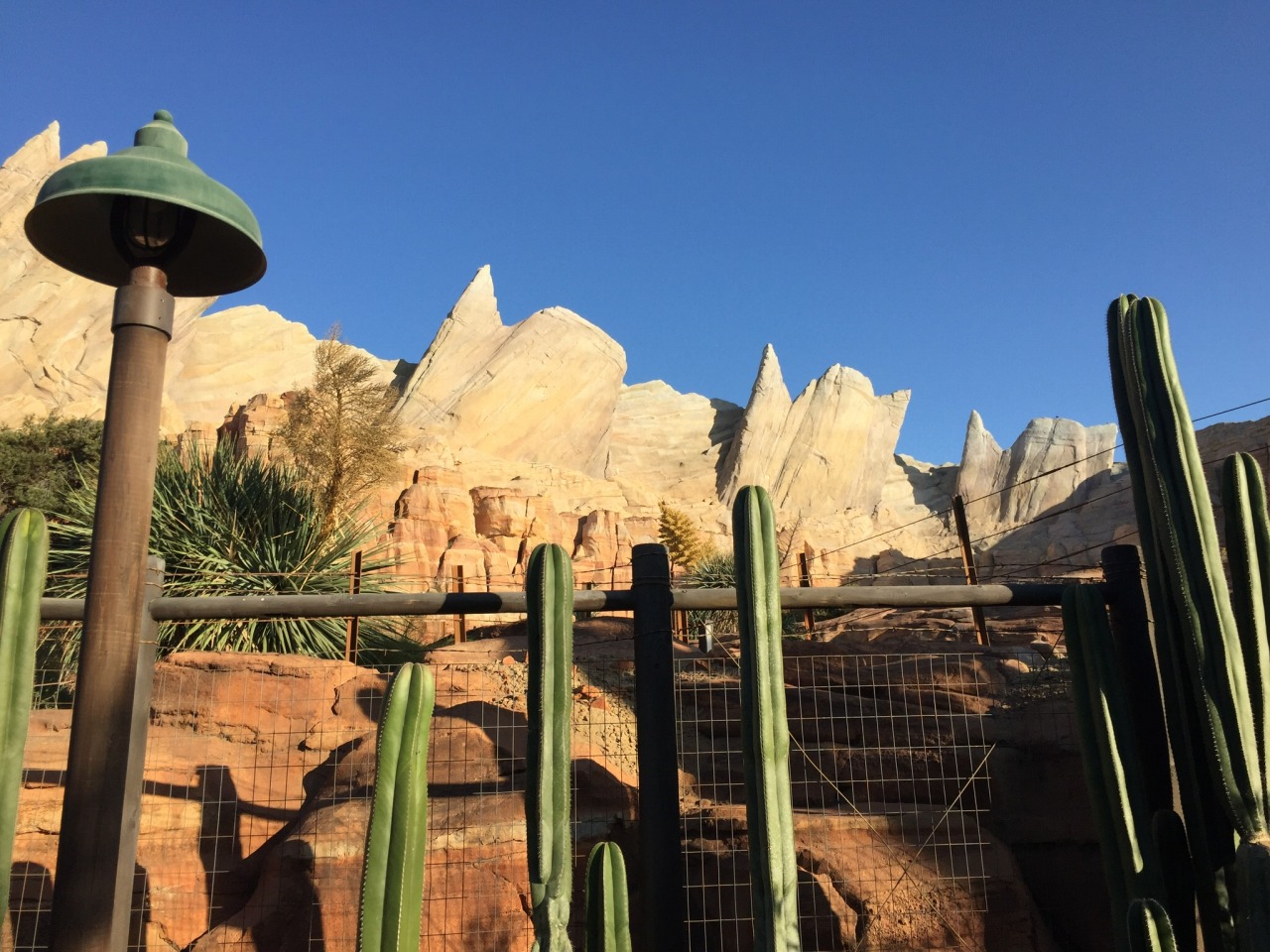 Art Forest co.，ltd.: LA Vacation日記 Radiator Springs Racers