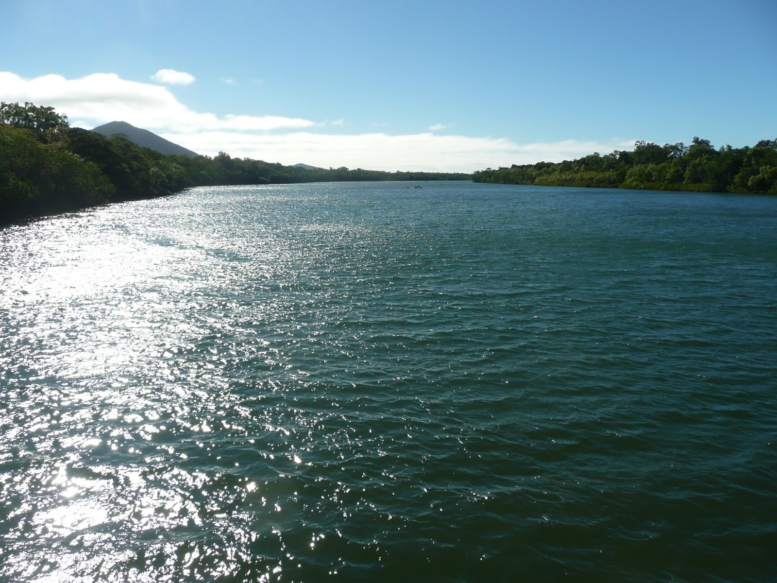 MobileMarshies: COOKTOWN - PART ONE - (1-5 JULY 2013)