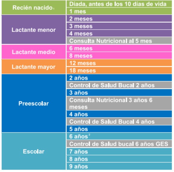 Programas de Salud en Chile: Programa de Salud Infantil