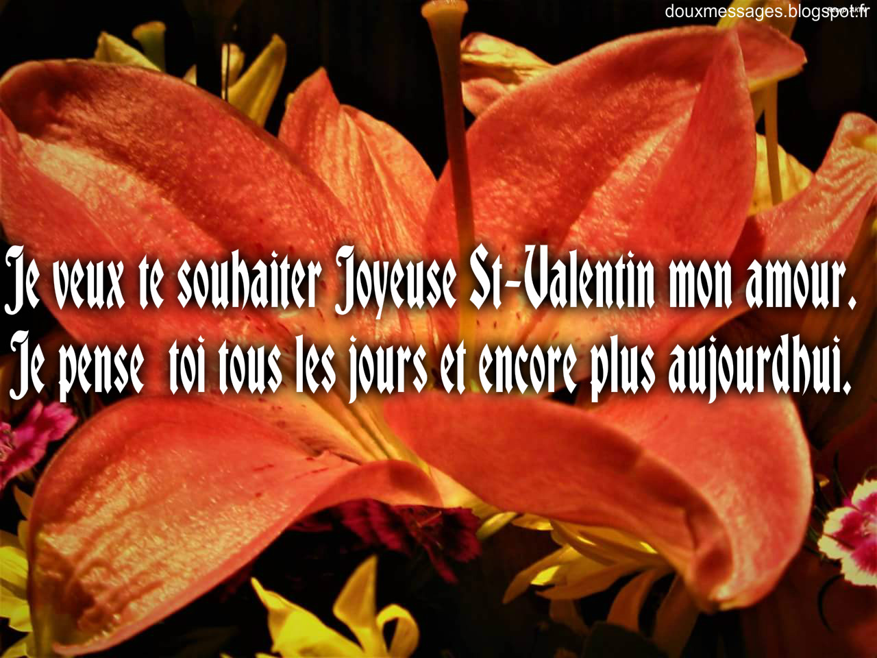 MESSAGE D'AMOUR POUR LA SAINT VALENTIN - MESSAGES DOUX