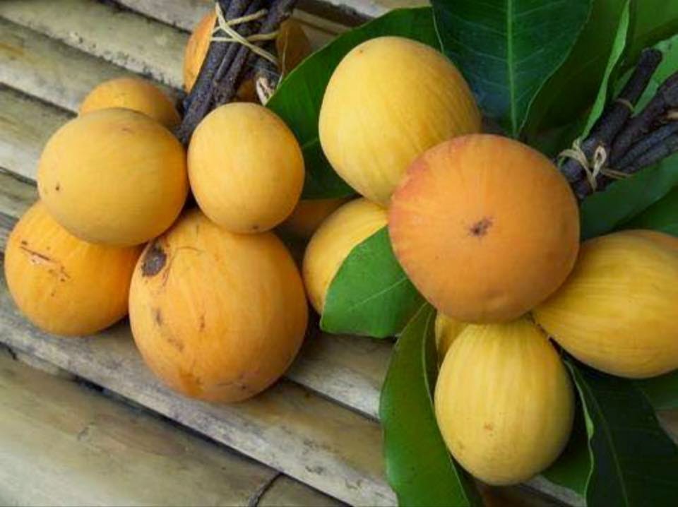 Photo of the week: ផ្លែគុយ(Plae Kuy)