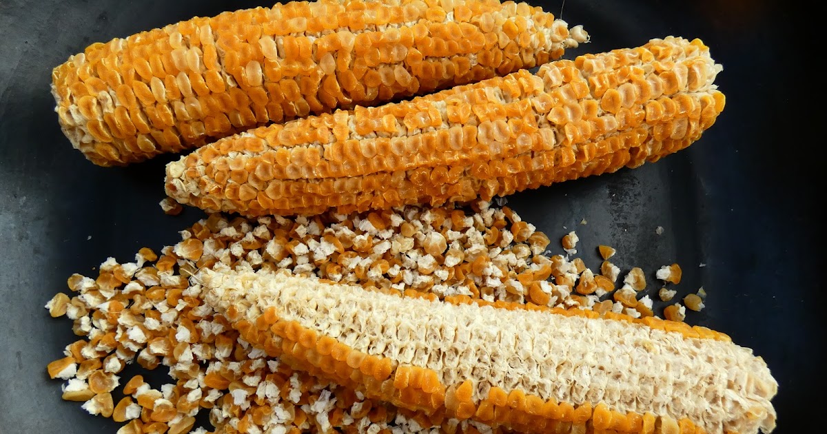 From Seed To Table: Corn Chicos