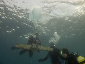 Historia y Arqueología: Encontrado un cepo de ancla romana en Tabarca