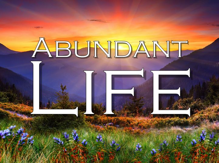 Salt and Light: Abundant Life