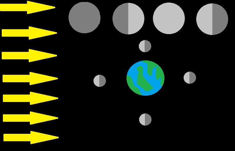 The Awesome Science Blog of Awesomeness: The Moon Phases