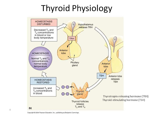 Nutrition science - easy learning: Hyperthyroidism Part 1