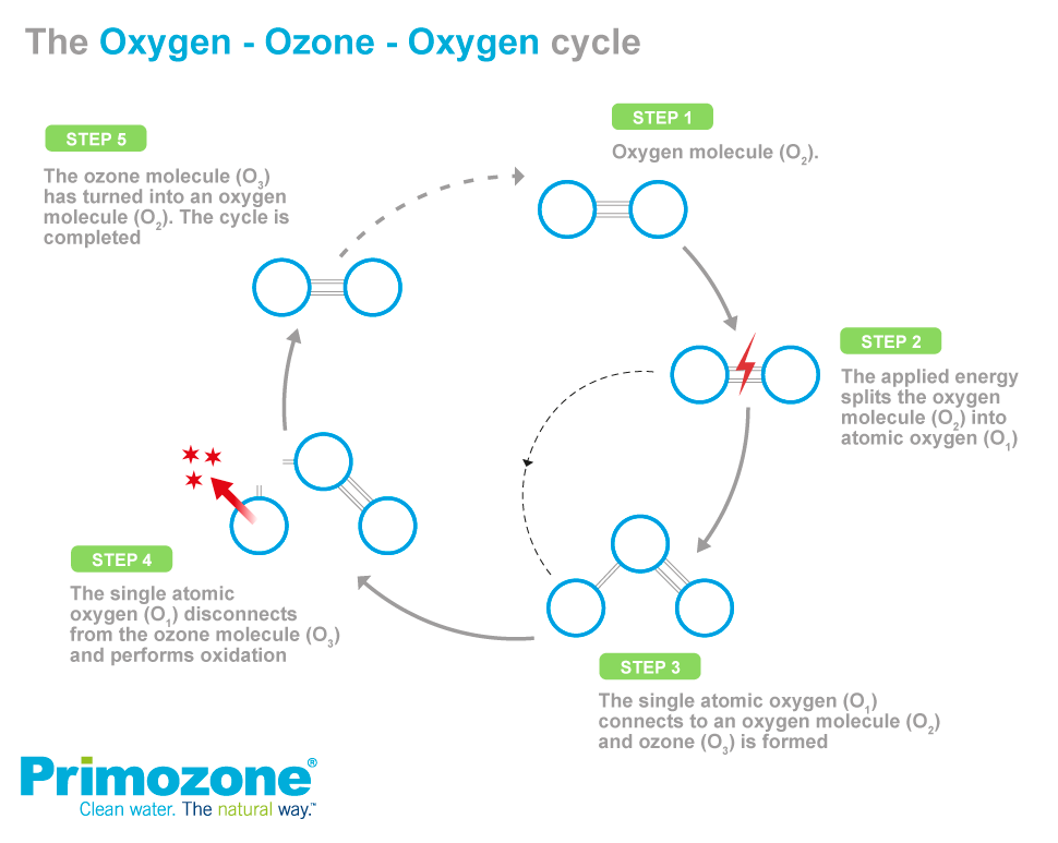 Ozone Cycle