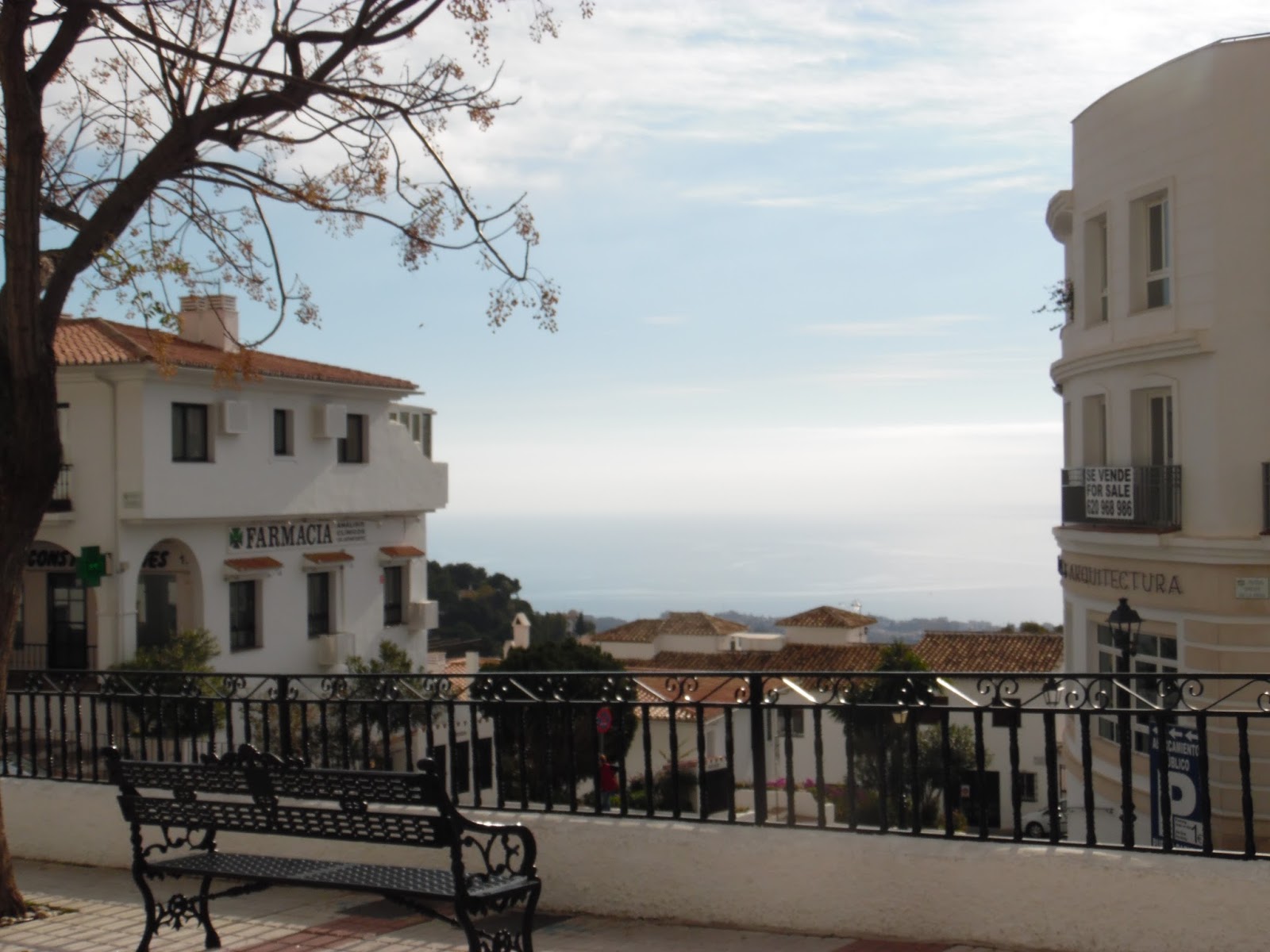 The Amazing Story of Anna Helena