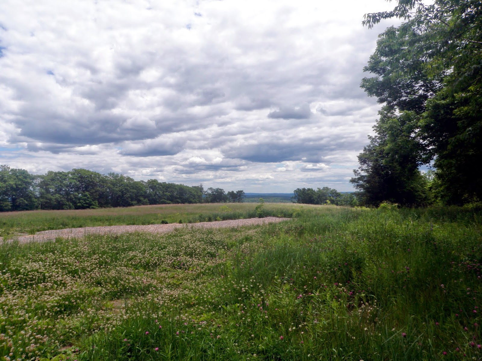 Trekking For A Cure. Giving MS The Boot!!: Monroe Hill (Fox State ...