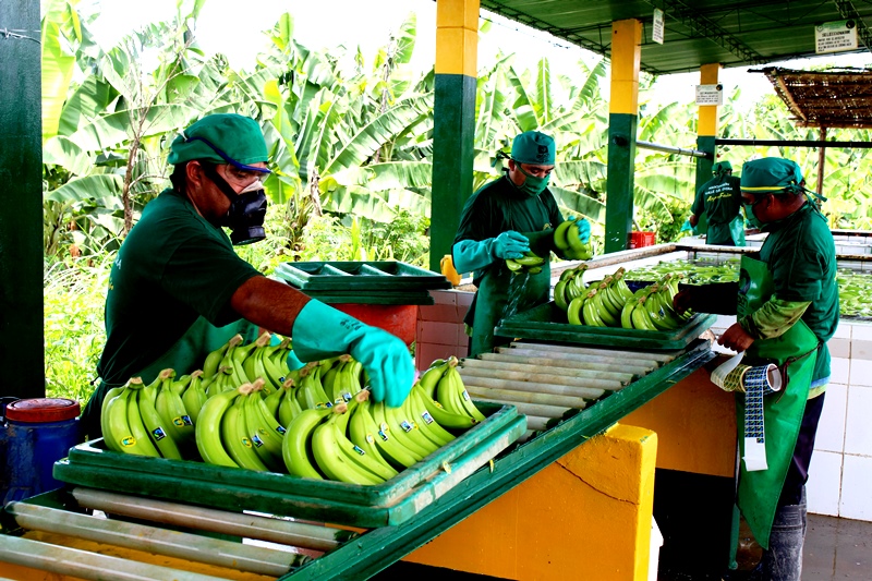 CAPACITAN A 1,800 PRODUCTORES Y PRODUCTORAS ~ Noticias Mundiales