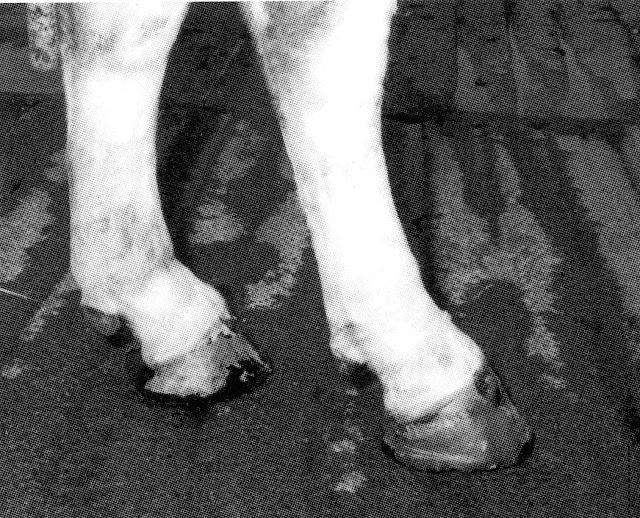 Horsetrionics: 2013-06-30