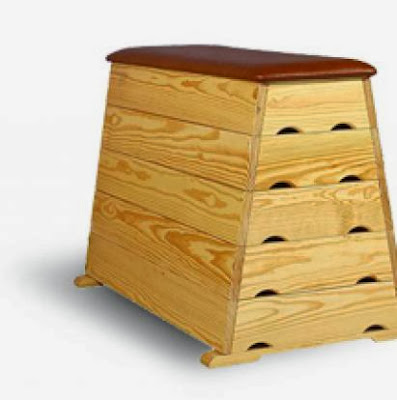 Educación Física en la Red: ¿Sabes qué es un plinto?