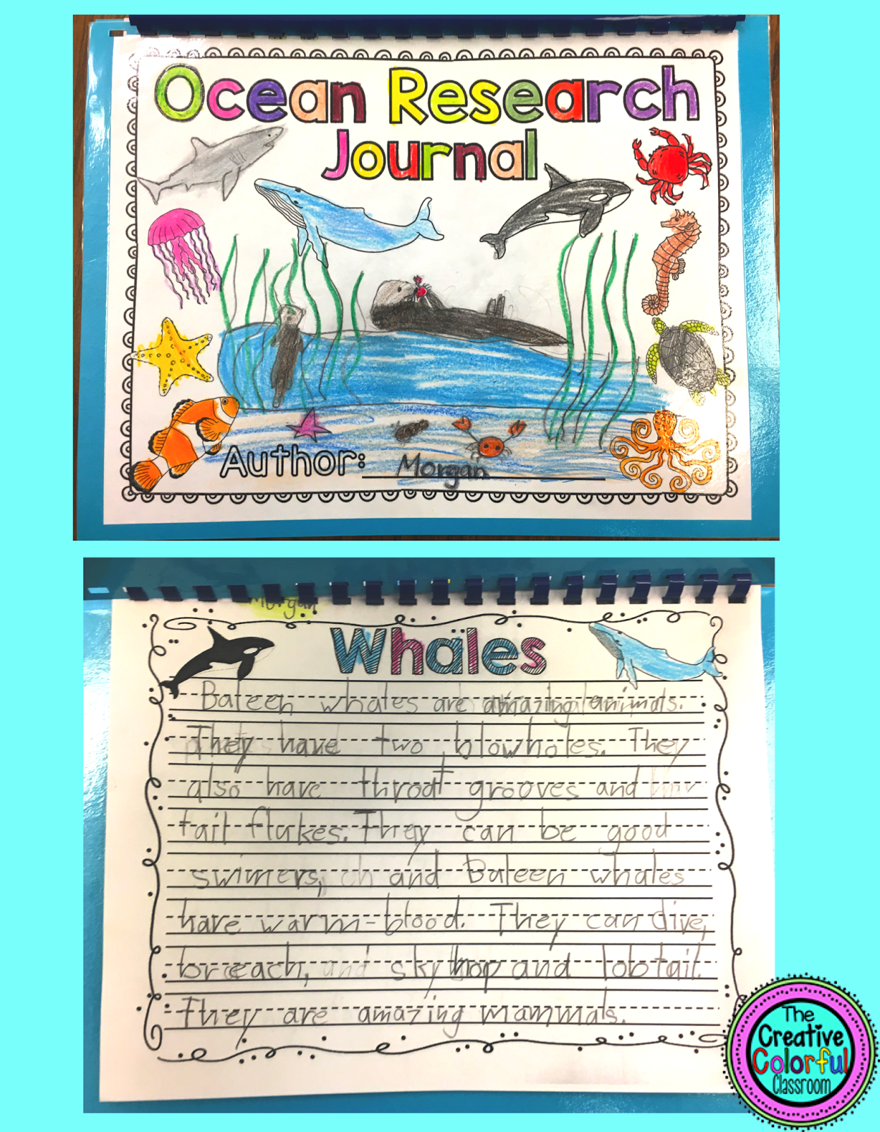 The Creative Colorful Classroom: Open House 2017