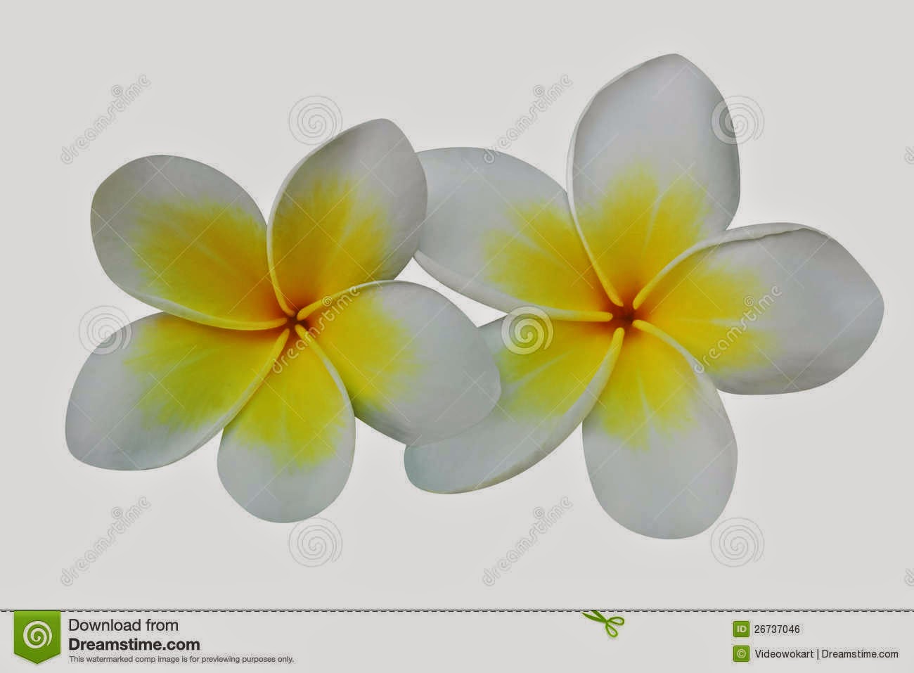 work based learning: creating modular organic shapes - flower