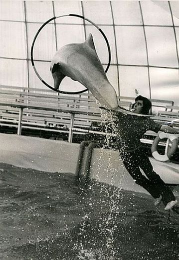 UK Dolphinaria Archive: Coventry Zoo Dolphinarium: 1972 - 1975