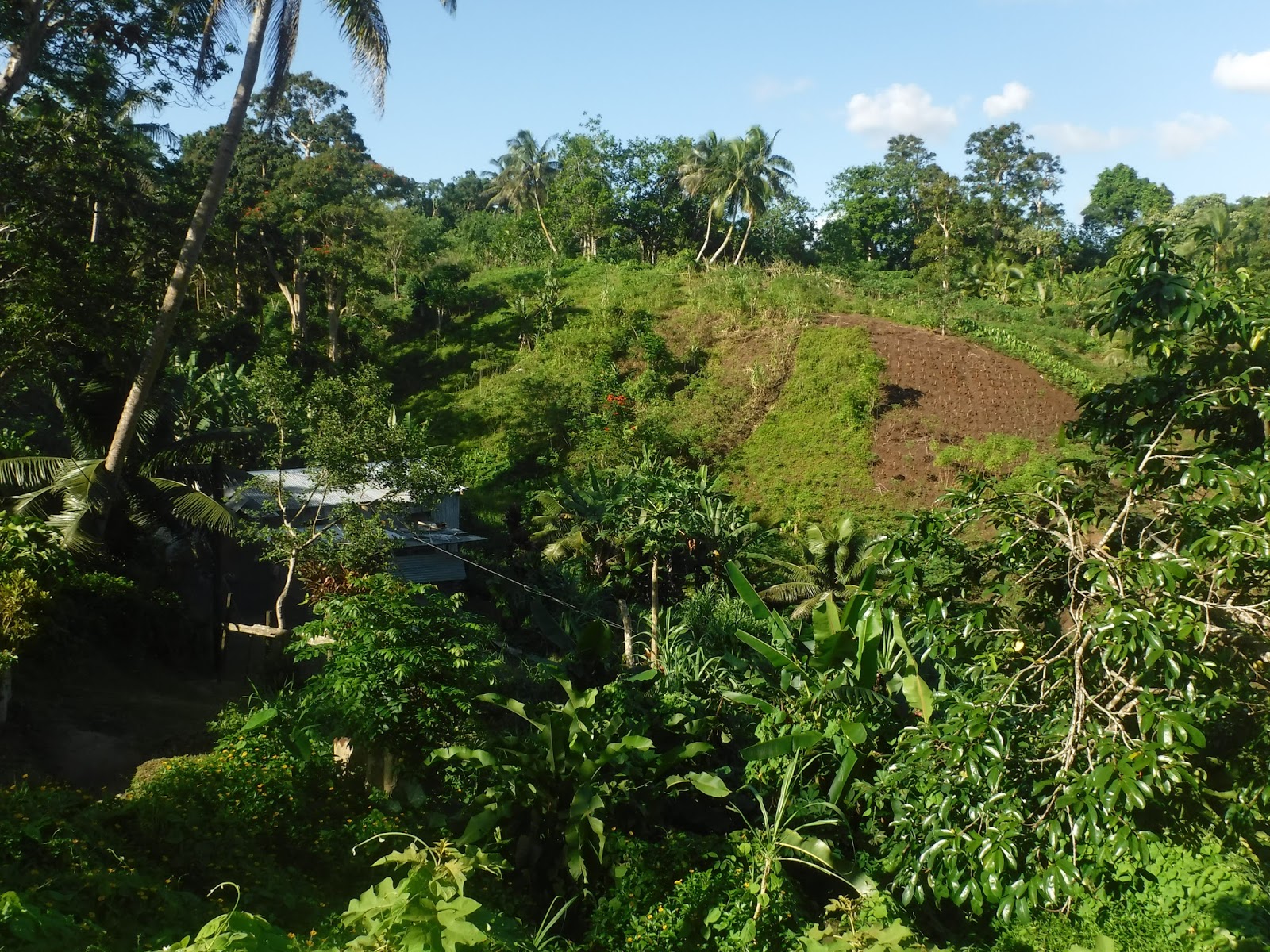 Elder Jaxson Jeremy Miller - Fiji Suva Mission : December 2015