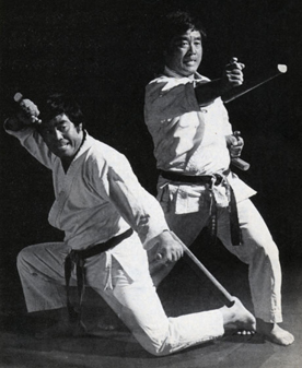 Isshin - Concentration the Art: The Core of Okinawan Kobudo – Tonfa