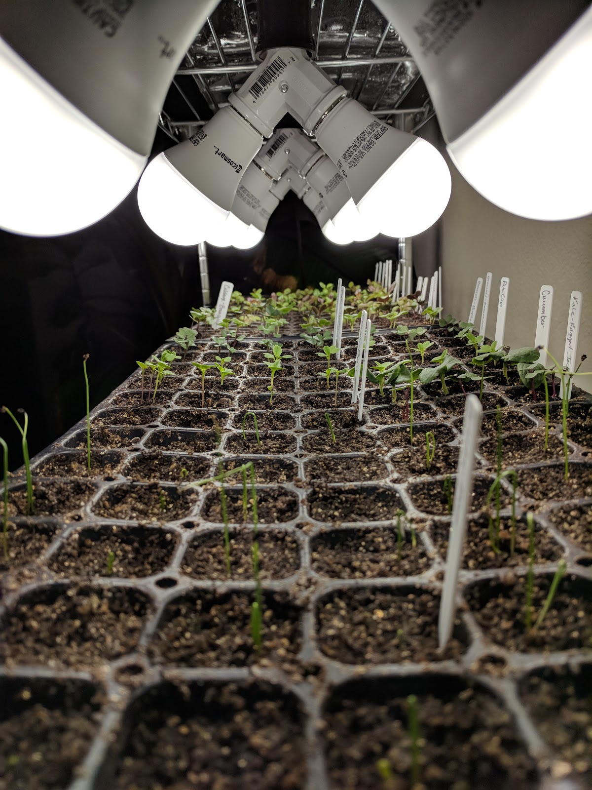 How To Make Inexpensive Seed Starting Lights