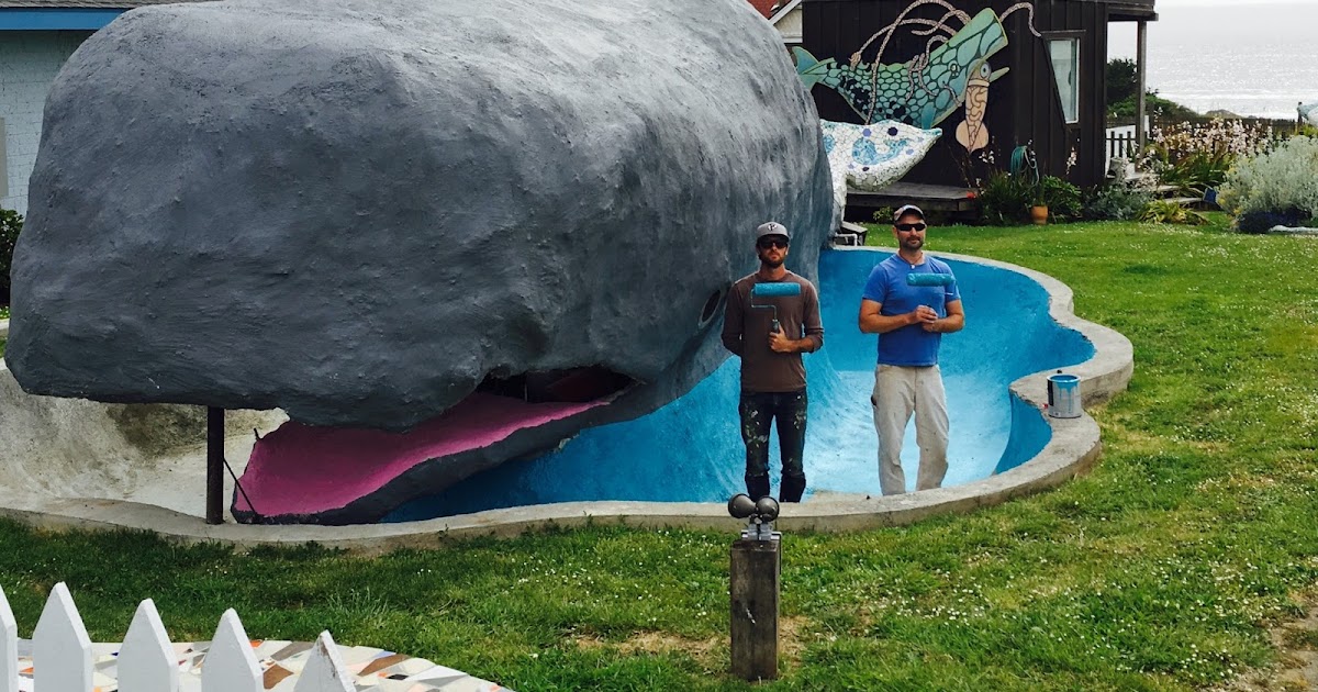 THE WESTPORT WHALE: The Pool is now open!