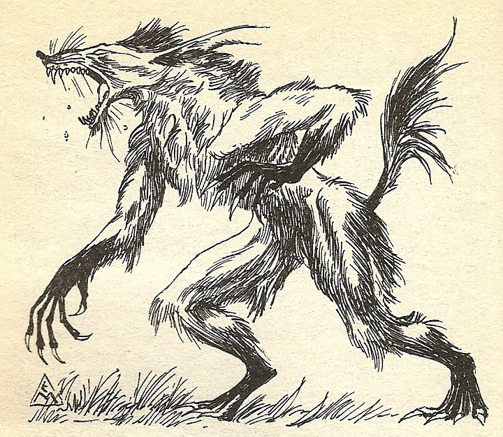 Human Wolf Hybrid Drawings