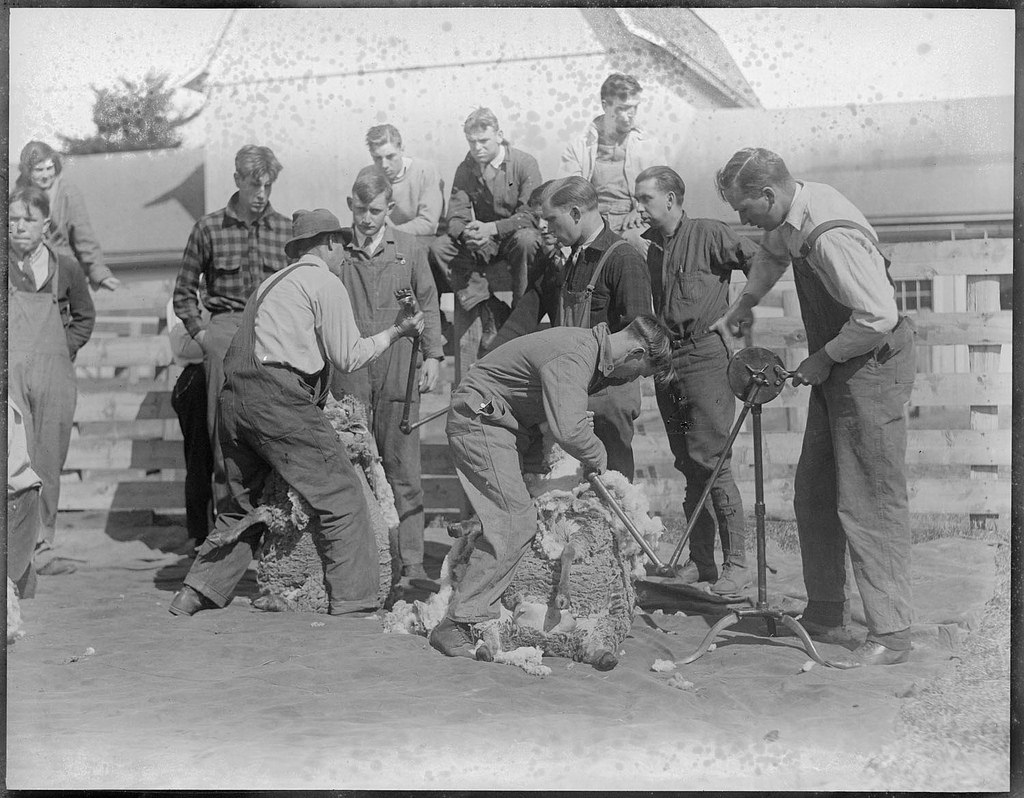 34 Fantastic Photos Capture Farm and Domestic Life of Boston from ...