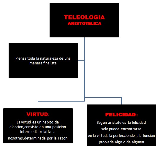 TELEOLOGIA ARISTOTELICA ~ shirleysr2