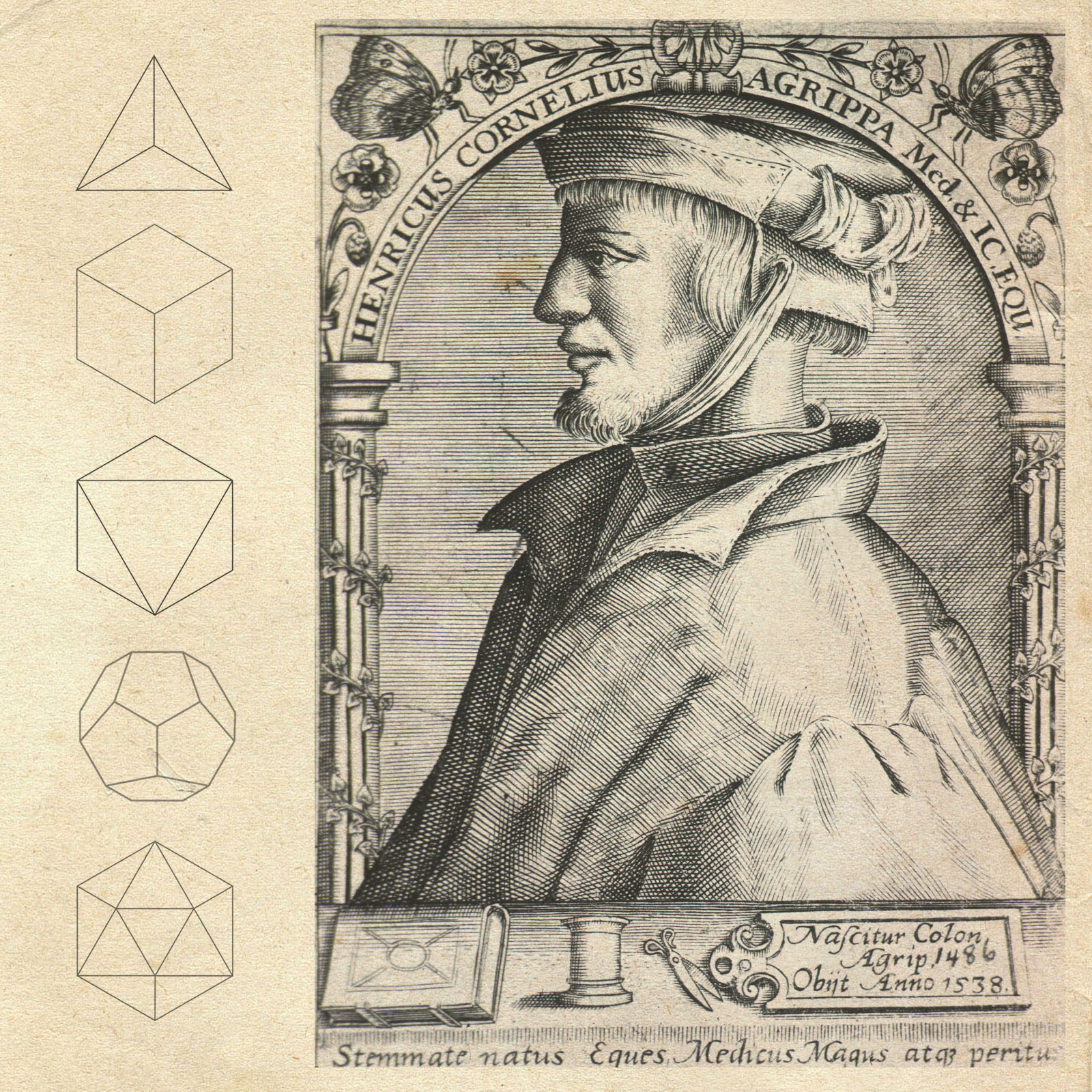 Illuminated Perfume: Number Nine