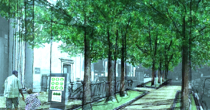 Tree Care Stories from Restore Mass Ave: Tree Plaza Design Award: The ...