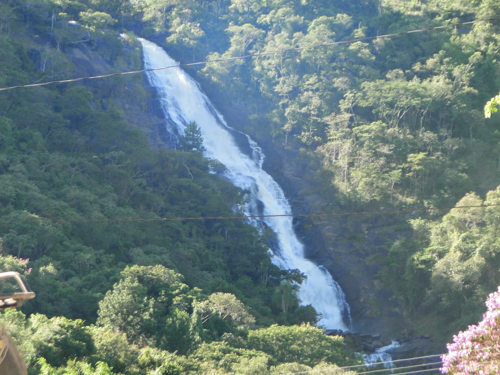 Joanopolis ~ Família Incrível