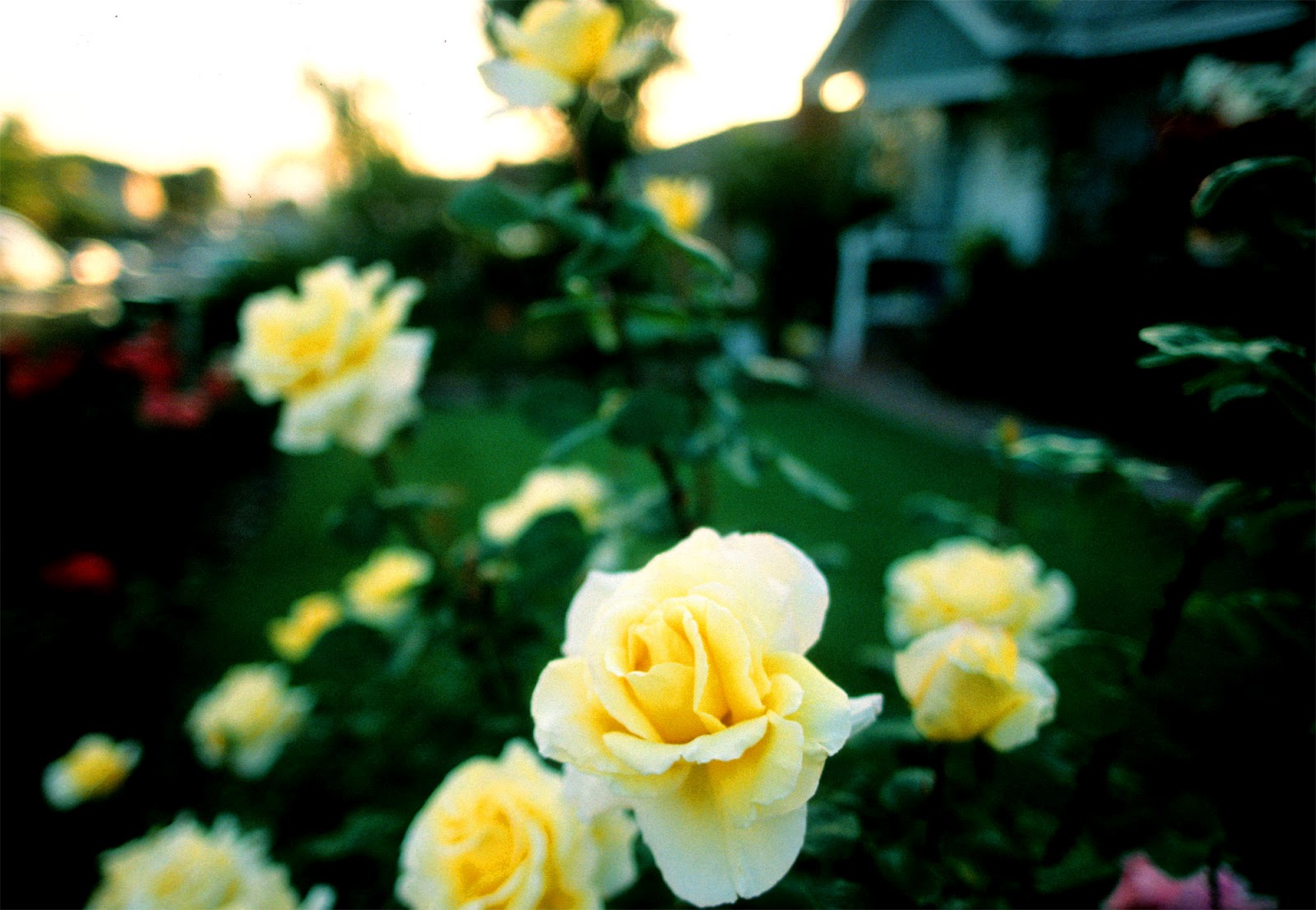 Artist Vincent Farrell