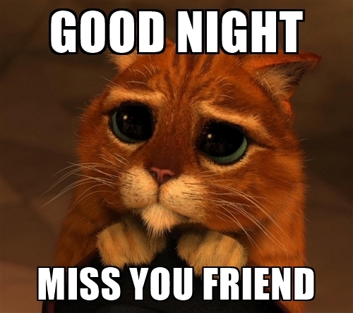 50 Best Funny Good Night Memes for Facebook and WhatsApp
