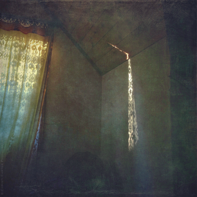 The window as a metaphor ~ Sweetpea Path